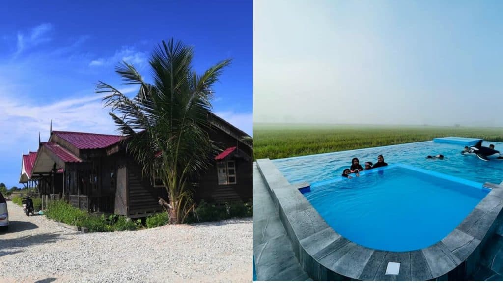 Homestay Ini Menawarkan Kolam Renang Dengan Pemandangan Sawah Padi ...