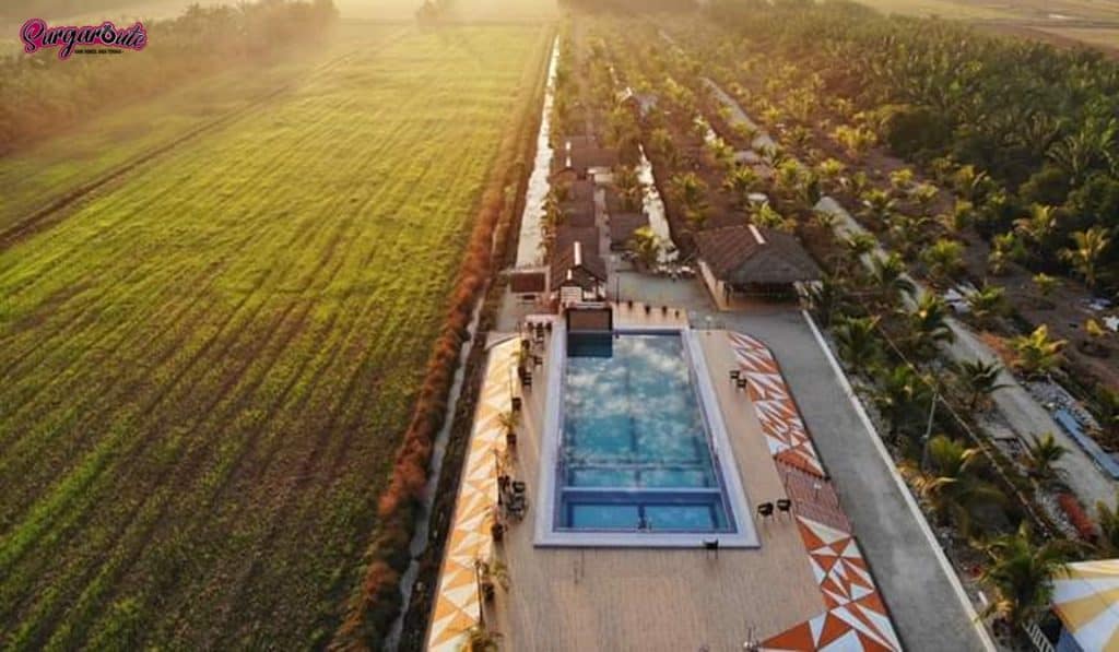 Homestay Dikelilingi Sawah Padi di Kuala Kurau, Perak ! - the Halal XPlorer