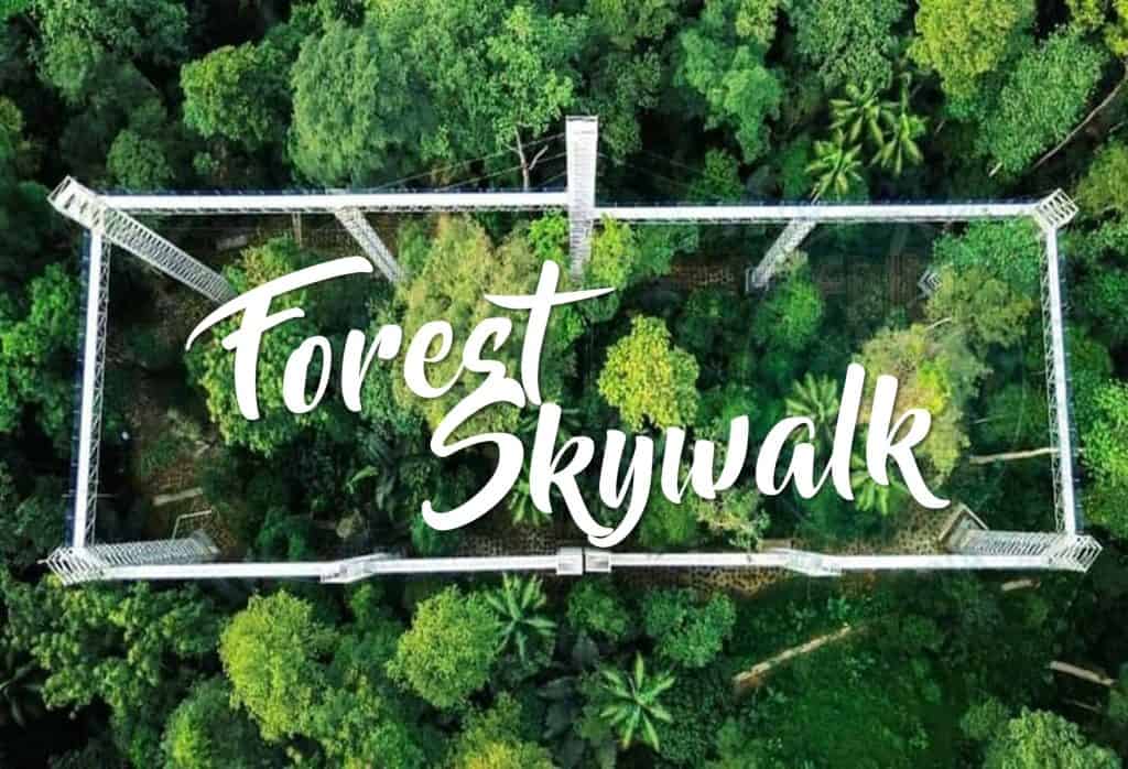 Tarikan terbaru di FRIM Kepong ! Forest Skywalk bakal dibuka 31 Ogos ...