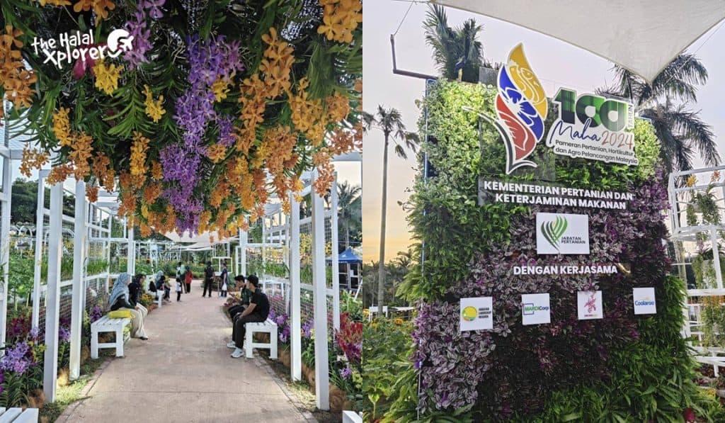 Peta, Aktiviti Menarik & Tips : Ini Segalanya Yang Anda Perlu Tahu ...