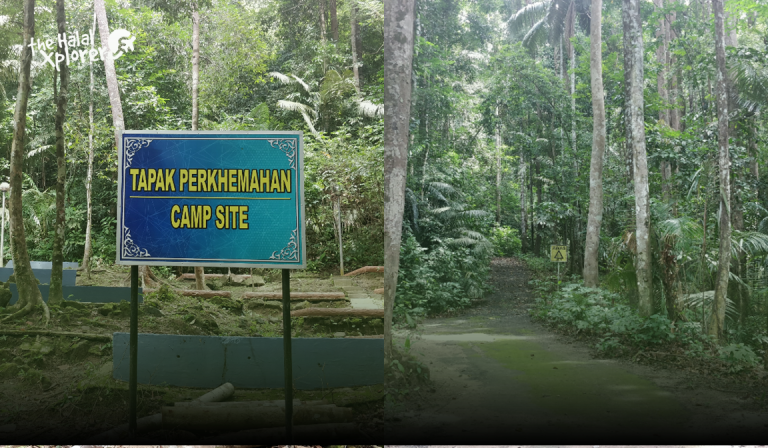 Taman Negeri Perlis: Permata Alam di Kaki Bukit