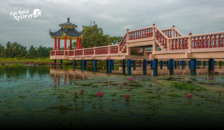 Tasik Melati: Permata Alam yang Menenangkan di Perlis
