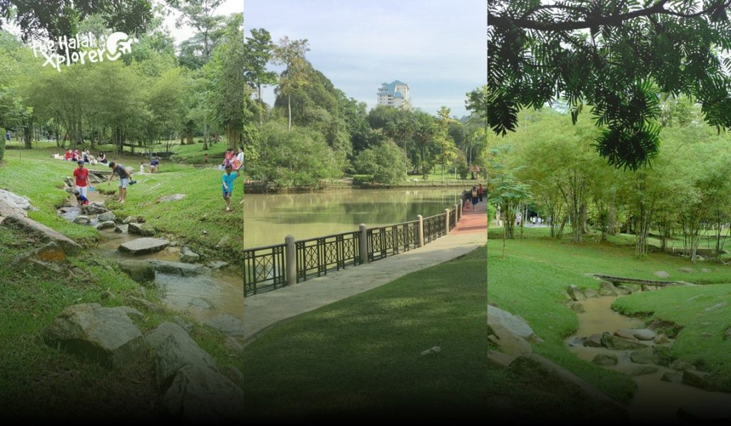 Taman Persekutuan Bukit Kiara, Permata Berharga di Kuala Lumpur